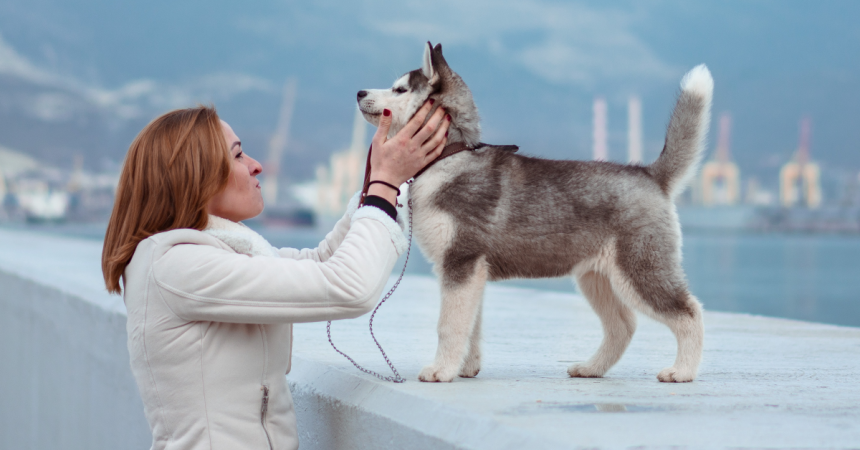 Can Pets Get COVID-19? (study led by Peter Rabinowitz) | University of ...